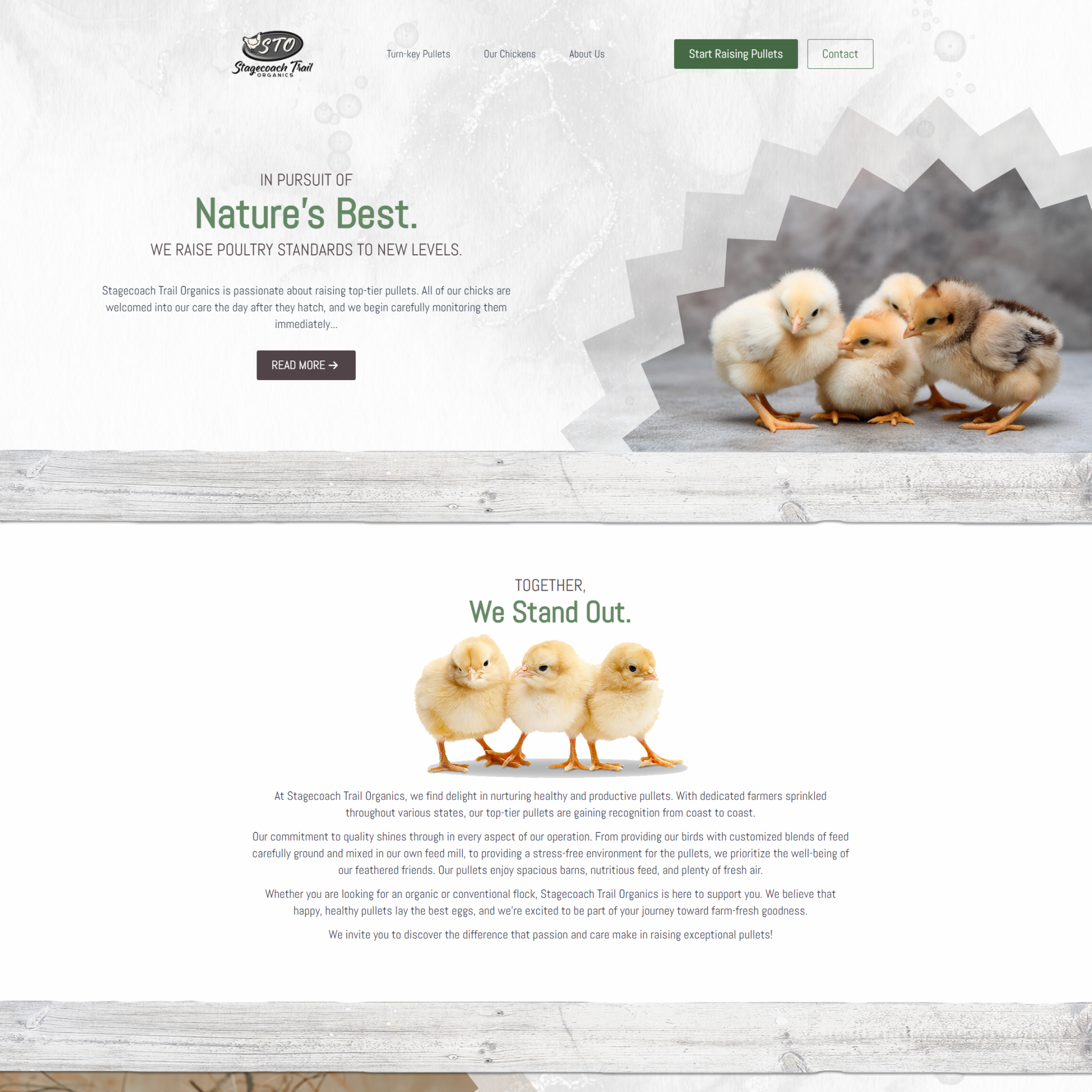 Zimmerman Design - Zimmerman Design